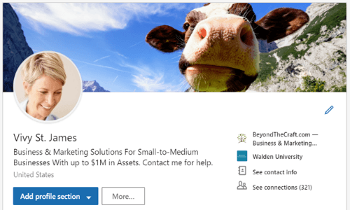How To Write A Better LinkedIn Headline with 10 Examples Updated 2021 